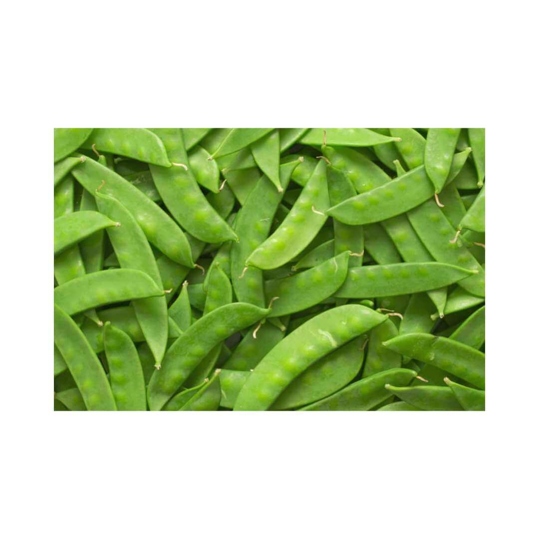 OREGON SUGAR POD (Snow Pea) - Hygrotech (Zambia)