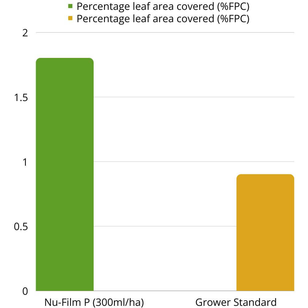 Nu-Film P - Deposition on Onion Leaves - Hygrotech (Zambia)